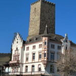 Rüdesheim: city tour with music and wine and Rüdesheim coffee - Who Will Love This Tour?