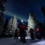 Ruka: Northern Light Hunt by Minivan - The Tour Experience: What to Expect from Start to Finish