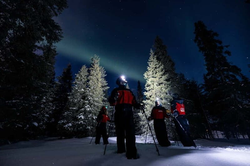 Ruka: Northern Light Hunt by Minivan - The Tour Experience: What to Expect from Start to Finish