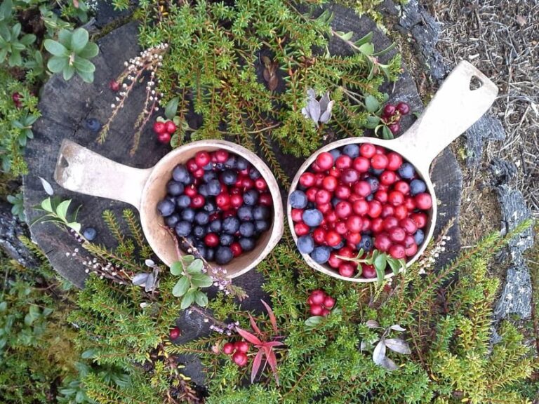 Ruka : Strength from nature  Hiking trip - What’s the Value?