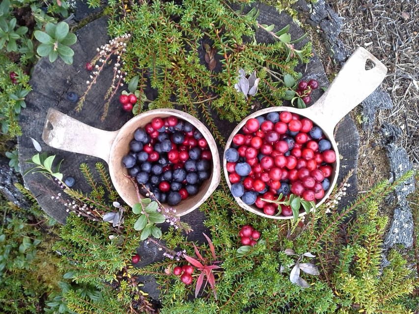 Ruka : Strength from nature  Hiking trip - What’s the Value?