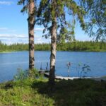 Ruka: Summer Sauna Tour finnish sauna experience - Who Will Love This Tour