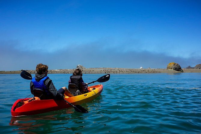 Russian River Kayak Tour at the Beautiful Sonoma Coast - Wildlife and Scenic Highlights