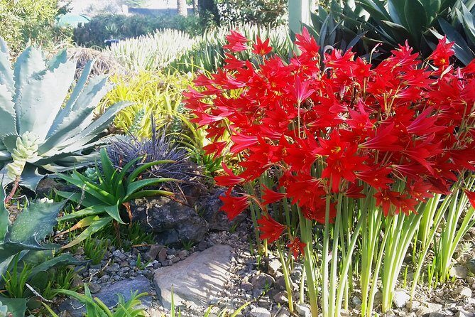 Ruth Bancroft Garden General Admission Ticket - Authentic Experiences and What Travelers Say