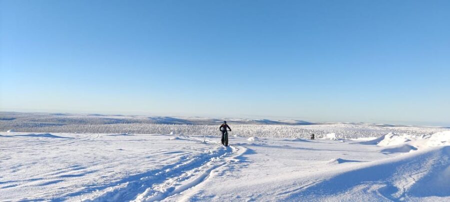 Saariselkä: Guided Fatbike Tour - What Makes This Tour Stand Out