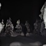 Saariselkä: Snowshoeing Tour in Urho Kekkonen National Park - An In-Depth Look at the Snowshoeing Adventure