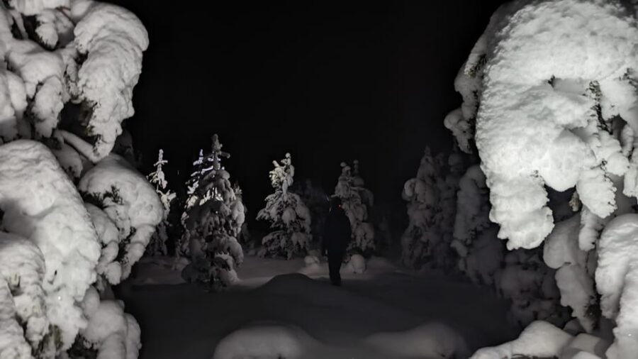 Saariselkä: Snowshoeing Tour in Urho Kekkonen National Park - An In-Depth Look at the Snowshoeing Adventure