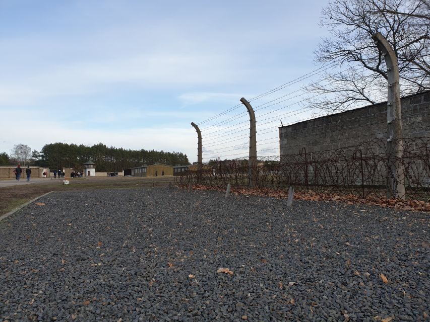 Sachsenhausen Memorial: Walking Tour from Berlin - Who Should Consider This Tour?