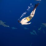 Safe and Educational Shark Dive from Haleiwa: Sharks Guaranteed - Education and Conservation