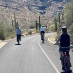 Saguaro National Park East E-Bike Tour - What’s Included and What’s Not