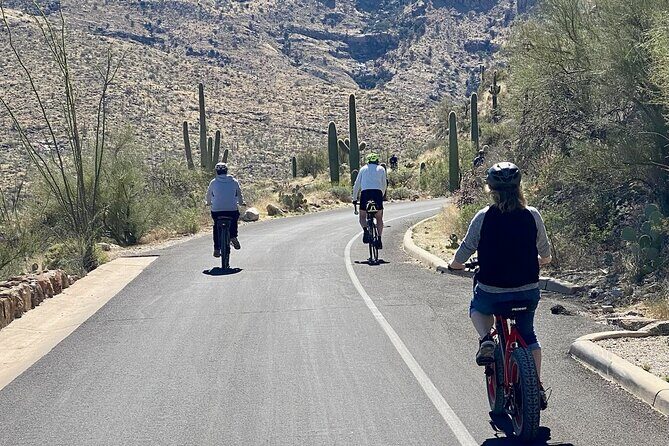 Saguaro National Park East E-Bike Tour - What’s Included and What’s Not
