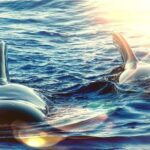 Sailing Yacht on a Private Charter - Itinerary Breakdown
