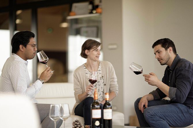Saint-Emilion Grand Cru Classé: Visit & Tasting in English - What Makes This Tour Stand Out?