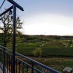 Saint-Emilion Grand Cru Classified: Gourmet Tour in French - Who Should Consider This Tour?