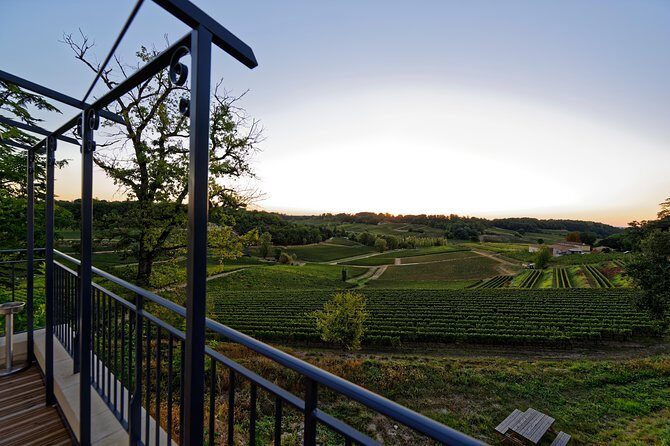 Saint-Emilion Grand Cru Classified: Gourmet Tour in French - Who Should Consider This Tour?