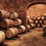 Saint Louis Brews and Views Half-Day Tour - Itinerary Breakdown