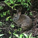 Saint Petersburg Preserve Bike Tour - The Experience from a Traveler’s Perspective: What Makes It Special
