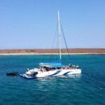 Sal: All-Inclusive Half-Day Lounge Catamaran Cruise - What to Expect on the Water