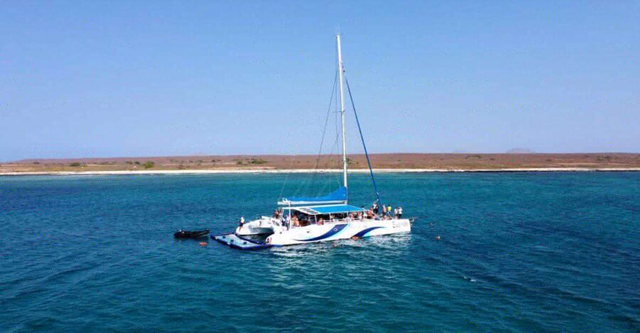 Sal: All-Inclusive Half-Day Lounge Catamaran Cruise - What to Expect on the Water