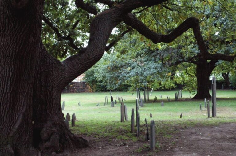Salem: Requiem for Salem Walking Ghost Tour - The Itinerary: What You’ll See and Experience