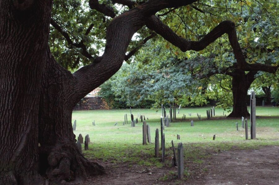 Salem: Requiem for Salem Walking Ghost Tour - The Itinerary: What You’ll See and Experience