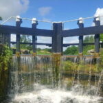 Sallins: The Digby Lock Grand Canal Cruise - 2.5 hours - Analyzing the Value