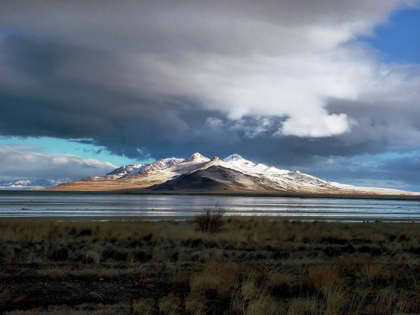 Salt Lake City: Great Salt Lake Antelope Island Guided Tour - Who Will Love This Tour?