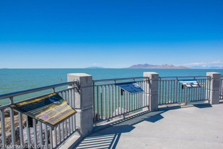 Salt Lake City: Great Salt Lake Guided Tour - The Experience & What You’ll Take Away