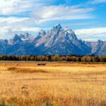 Salt Lake City: Yellowstone 4-day Tour with Airport Pickup - What Makes This Tour Stand Out
