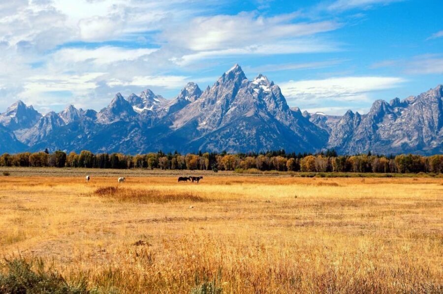 Salt Lake City: Yellowstone 4-day Tour with Airport Pickup - What Makes This Tour Stand Out