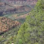 Salt River Canyon Off-Roading Adventure Tour - What to Expect in Terms of Logistics