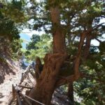 Samaria Gorge Hike - The Practical Side: What You Need to Know
