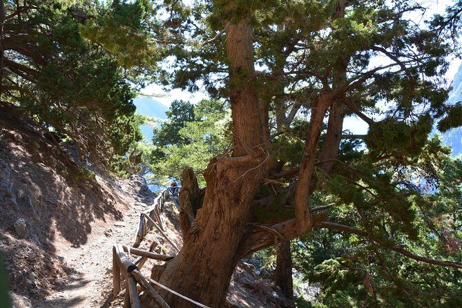 Samaria Gorge Hike - The Practical Side: What You Need to Know