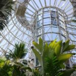 San Antonio CityPASS®: Save up to 51% on 4 Top Attractions - Who Will Love This Pass?