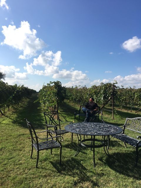 San Antonio: Fredericksburg Wineries Day Trip with Tastings - An Authentic Taste of Texas Wine and Charm
