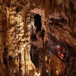 San Antonio: Go City Explorer Pass with 25+ Attractions - How the Pass Impacts Your Budget and Planning