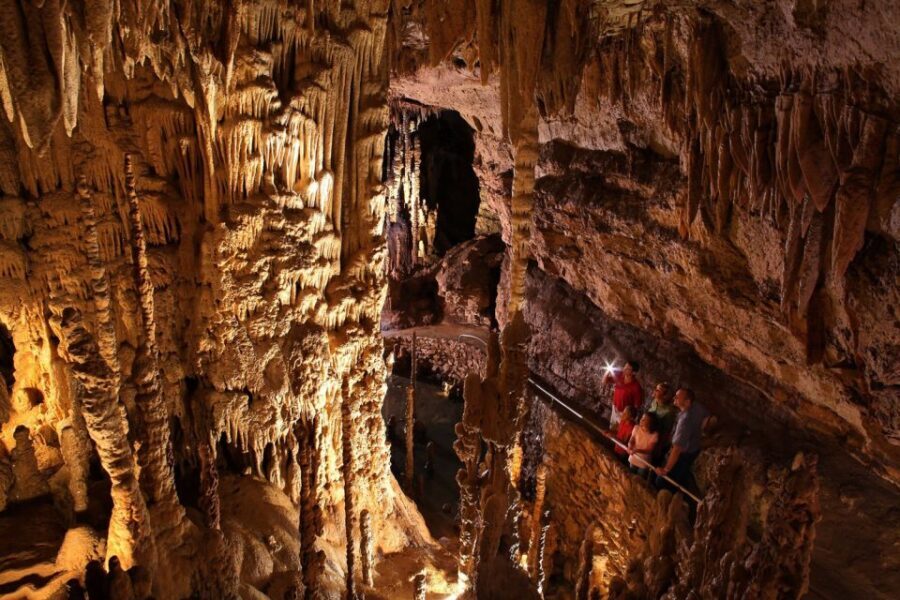 San Antonio: Go City Explorer Pass with 25+ Attractions - How the Pass Impacts Your Budget and Planning
