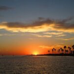 San Diego: Dolphin and Whale-Watching Sunset Cruise - FAQ