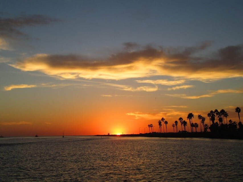 San Diego: Dolphin and Whale-Watching Sunset Cruise - FAQ