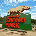 San Diego Explorer Pass: Save up to 50% on 45+ Attractions - The Sum Up