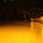 San Diego Ghost Tour - Who Would Enjoy This Tour?