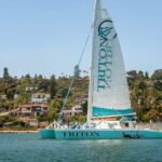 San Diego Harbor Cruise: 2.5 hour Catamaran Cruise - Key Points