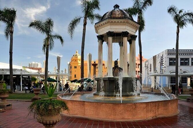 San Diego Must-see Attractions Private Guided Walking Tour - What to Expect from the Tour Experience