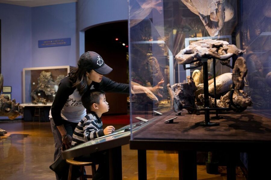 San Diego: San Diego Natural History Museum Ticket - What Makes the San Diego Natural History Museum Special