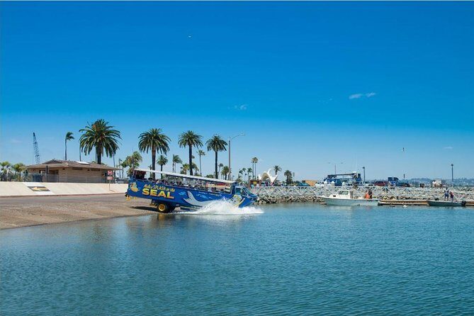 San Diego Seal Tour - Who Will Love This Tour?