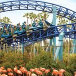 San Diego: SeaWorld Skip-the-Line Park Admission Ticket - What You Can Expect at SeaWorld San Diego