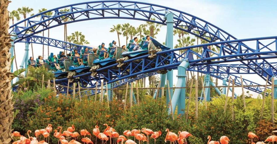 San Diego: SeaWorld Skip-the-Line Park Admission Ticket - What You Can Expect at SeaWorld San Diego