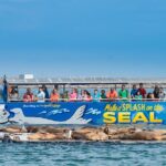 San Diego Shore Excursion: San Diego Seal Tour - Itinerary breakdown: What to expect
