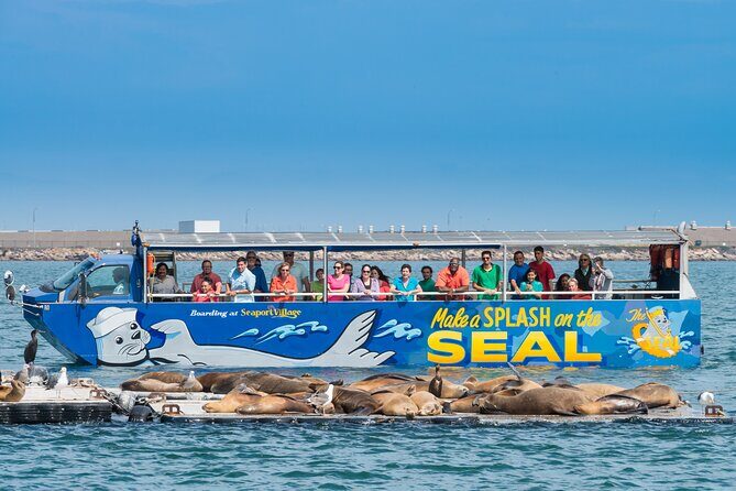 San Diego Shore Excursion: San Diego Seal Tour - Itinerary breakdown: What to expect