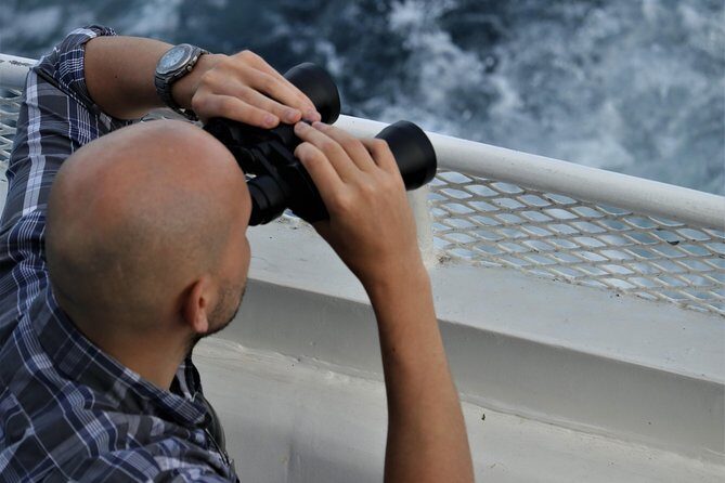 San Diego Sunset Cruise from Mission Bay - What’s Included, What’s Not, and Practical Tips